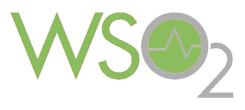 Corso WSO2 (Sviluppo) • iDocet